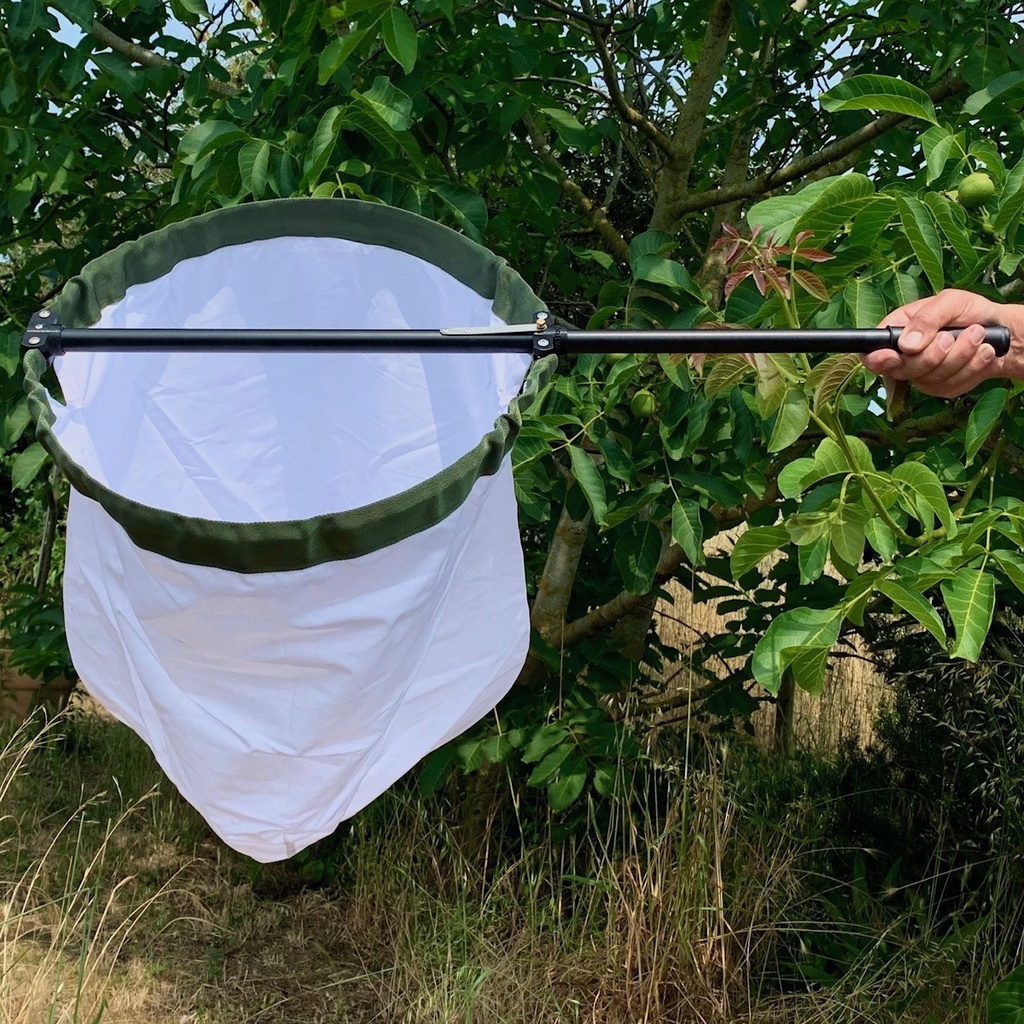 Filet Fauchoir Pliant | Entomo Silex